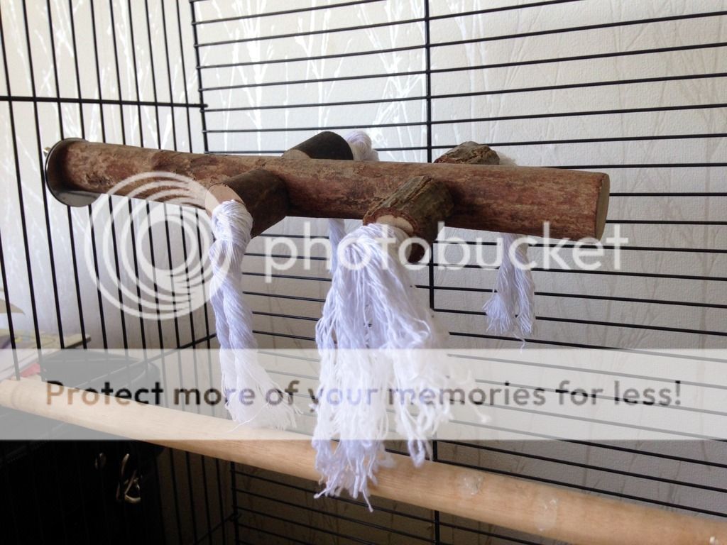 Cotton rope perches/toys | Talk Budgies Forums